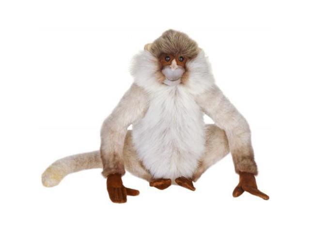 Click here for SPIDER MONKEY 12 prices