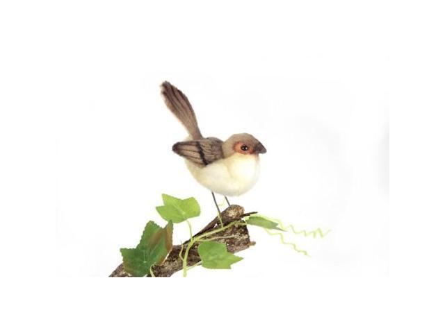 Click here for WREN FEMALE (AUSSIE) 3 prices