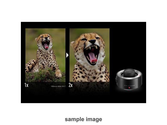 Click here for Panasonic DMW-TC20 2x Teleconverter DMW-TC20 prices