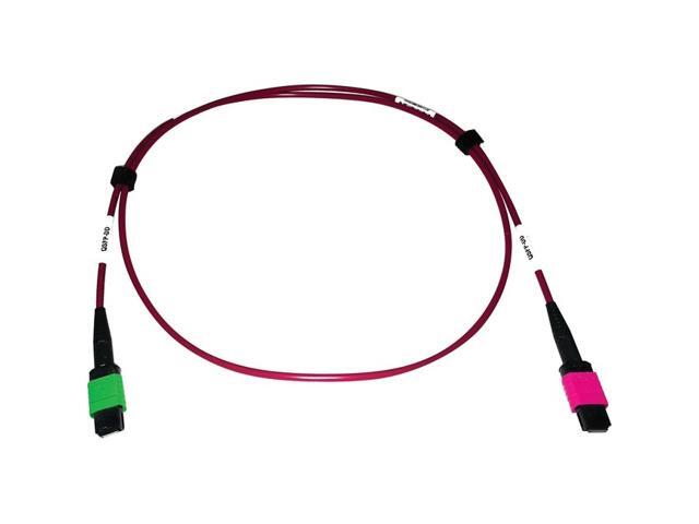 Click here for Tripp Lite 1m 400G Multimode 50/125 OM4 Fiber Opti... prices