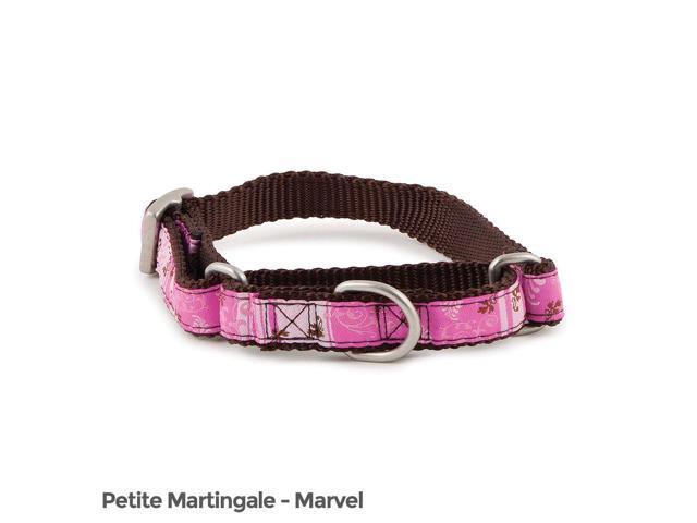 Click here for PetSafe Fido Finery Martingale Pet Dog Collar 1/2... prices