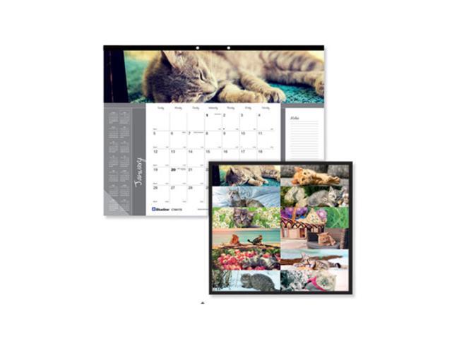 Click here for BlueLine Pets Collection Monthly Desk Pad 22x17 Fu... prices