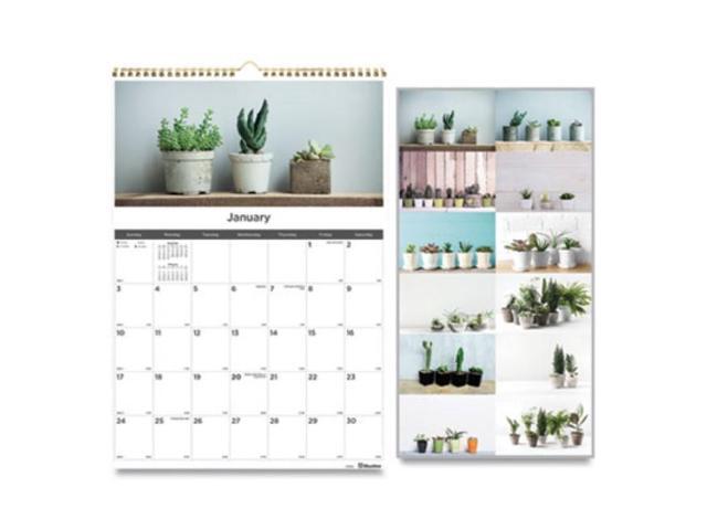 Click here for 2026 Blueline Colorful Monthly Wall Calendar  12 x... prices