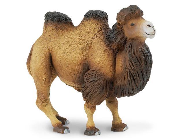 Click here for Bactrian Camel Wildlife Figure Safari Ltd prices