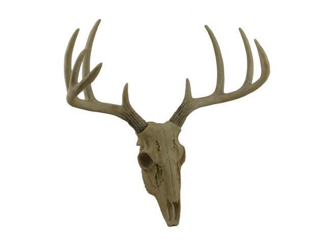 Click here for Little Bucky - 15-Inch Wall Mounted Faux Deer Skul... prices