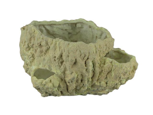 Click here for Off-White Fossilized Coral Look Decorative Coastal... prices
