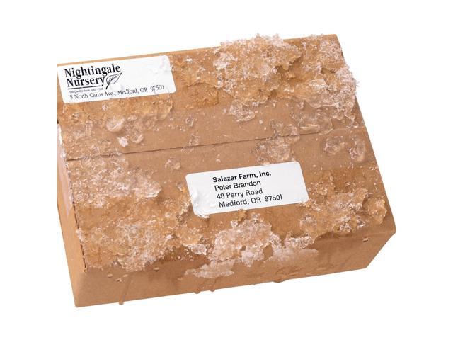 Click here for Avery WeatherProof Mailing Labels with TrueBlock T... prices