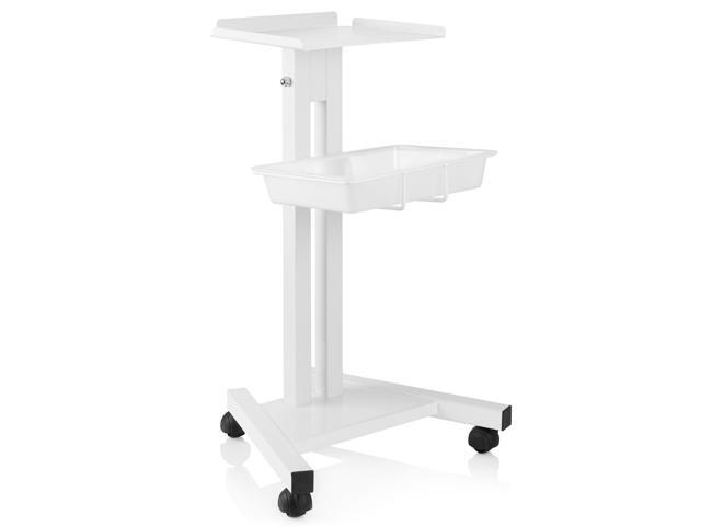 Click here for Esthology Rolling Equipment Cart prices