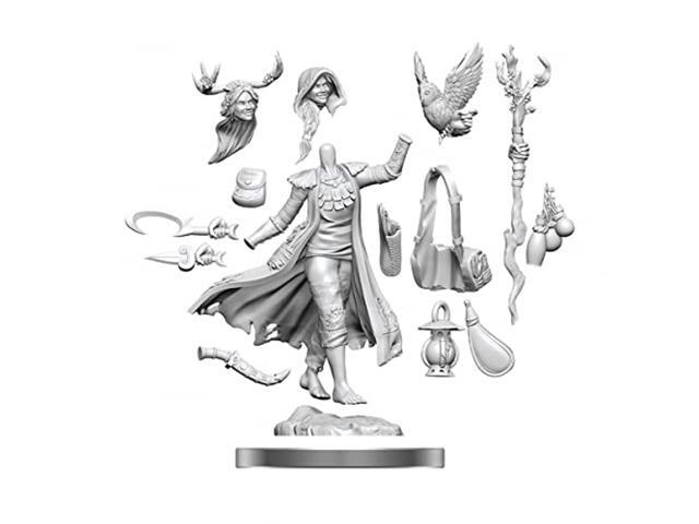 Click here for 75012 D & D Frameworks W1: Human Druid Female Mini... prices