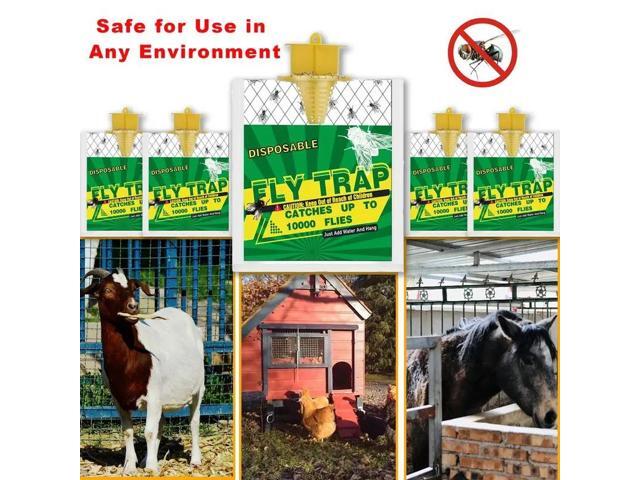 Click here for The new type of fly trap is an outdoor hanging fol... prices