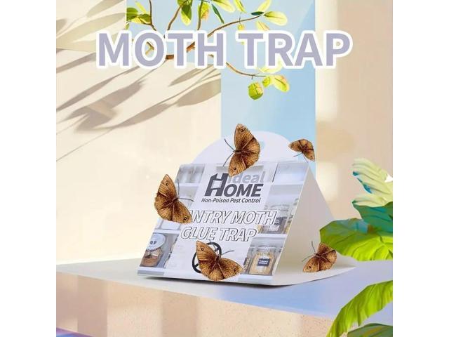 Click here for The old model of moth trap  moth stick  moth catch... prices