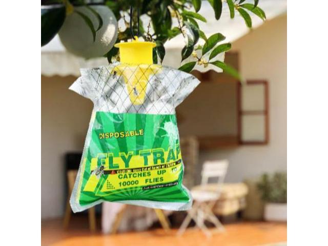 Click here for 1 fly trap  fly trap  outdoor fly trap  fly captur... prices