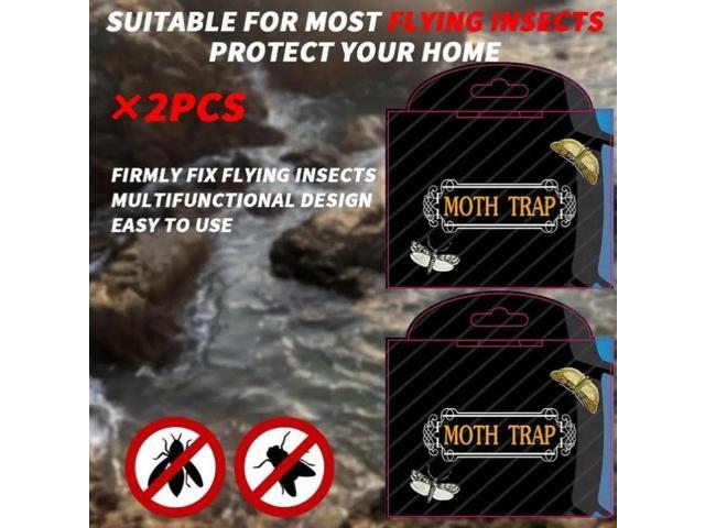 Click here for Two black-striped moth traps are attached to moth... prices