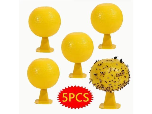 Click here for Five fly traps: Fruit fly  citrus large fruit fly... prices