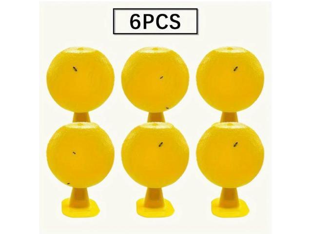 Click here for Six fly traps: Fruit fly  citrus large fruit fly... prices