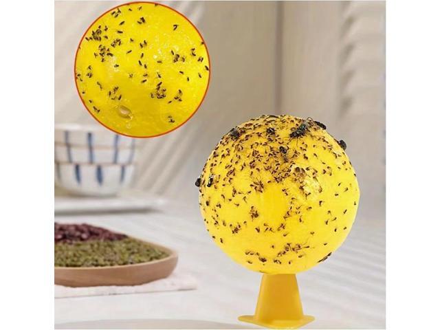 Click here for Triangle fly trap  fruit fly  citrus large fruit f... prices