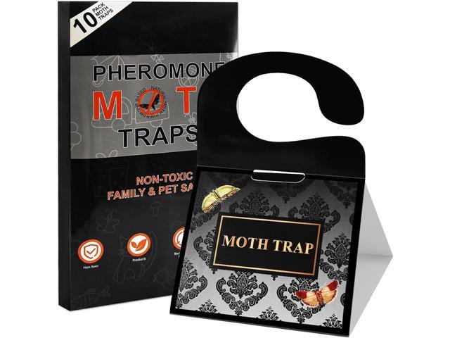 Click here for 10 pieces of moth traps  moth traps  moth stickers prices