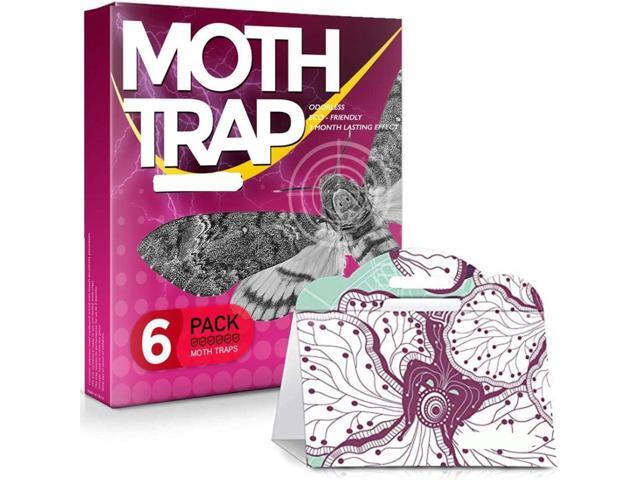Click here for 6 moth traps to kill moths  including moth midges... prices