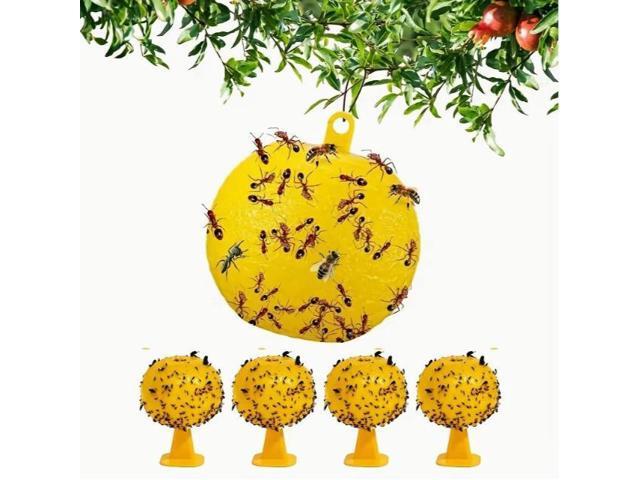 Click here for 7 fly traps  fruit flies  citrus large fruit fly t... prices