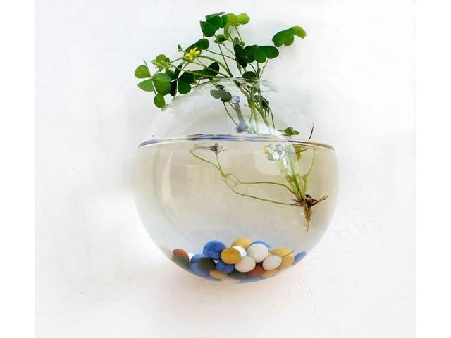 Click here for Creative Wall-Mounted Hydroponic Glass Vase Semi-C... prices