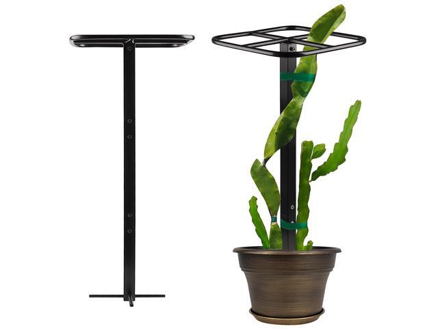 Click here for Dragon Fruit Climbing Frame  Metal Trellis for Cuc... prices