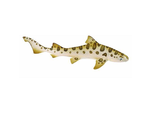 Click here for Safari Ltd Leopard Shark Sea Life - Open Miscellan... prices