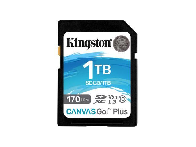 Click here for 1TB SDXC CANVAS GO PLUS prices
