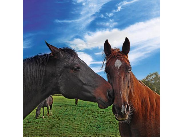 Click here for Loving horse 40 x 40 Print On Canvas Painting Wall... prices
