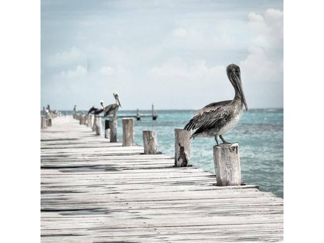 Click here for Sea and birds 40 x 40 Print On Canvas Painting Wal... prices