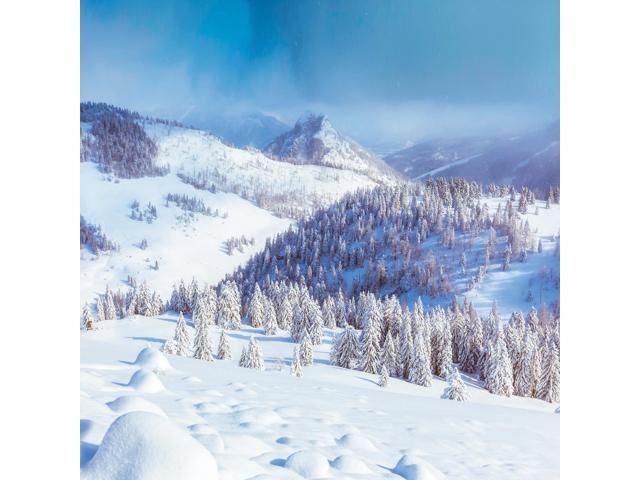 Click here for Snow view 40 x 40 Print On Canvas Painting Wall Ar... prices
