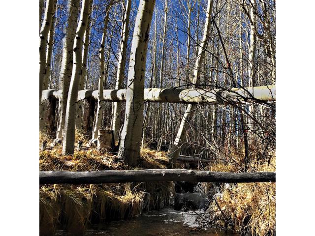 Click here for Wild nature 40 x 40 Print On Canvas Painting Wall... prices