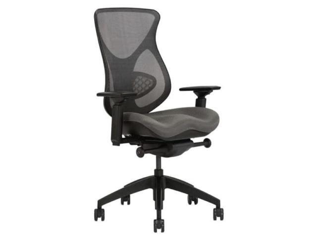 Click here for Midcelli by BodyBilt Ergonomic Mesh Mid-Back Chair... prices