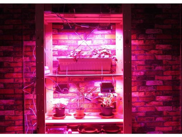 Click here for LED Grow Lights Full Spectrum Plant LightsGrowing... prices