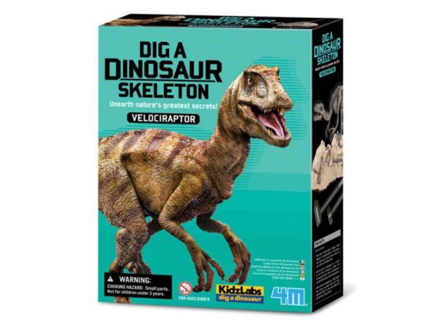 Click here for P13234 - DIG A VELOCIRAPTOR prices