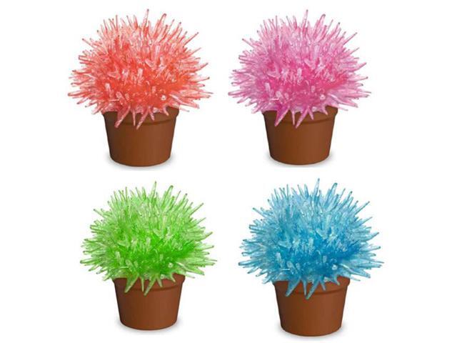 Click here for DG1004 - CRYSTAL CACTUS ASSORTED COLORS prices