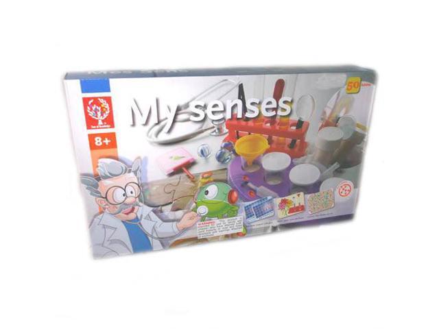 Click here for EDU-7086 - MY SENSES BODY AWARENESS SCIENCE SERIES prices