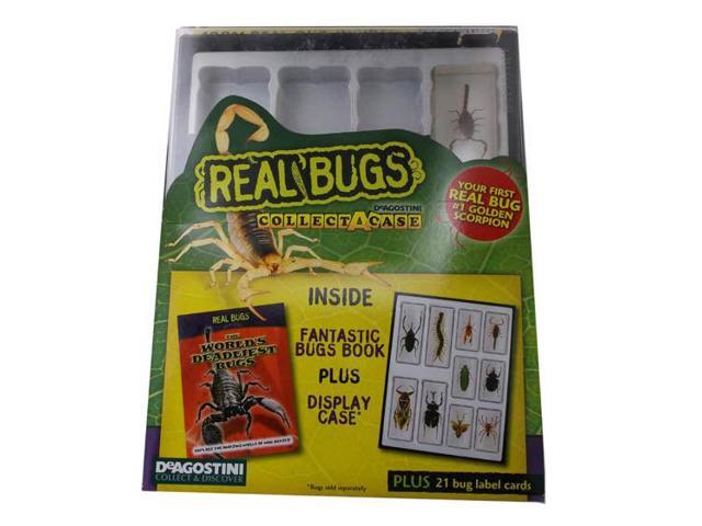 Click here for 1020 - REAL BUGS COLLECT A CASE WITH LABEL CARDS prices