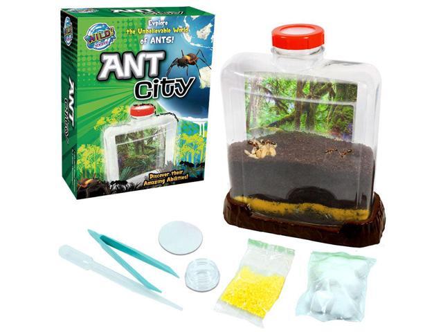 Click here for 040522 - ANT CITY prices