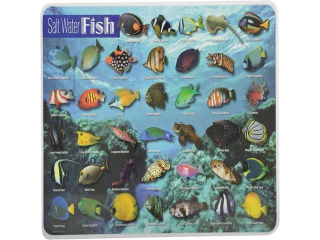 Click here for PLP-SWF-1 - PLACEMAT SALT WATER FISH prices