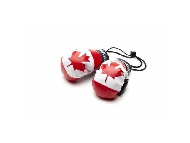 Click here for 14478 - CANADA SOUVENIR BOXING GLOVES MINI prices