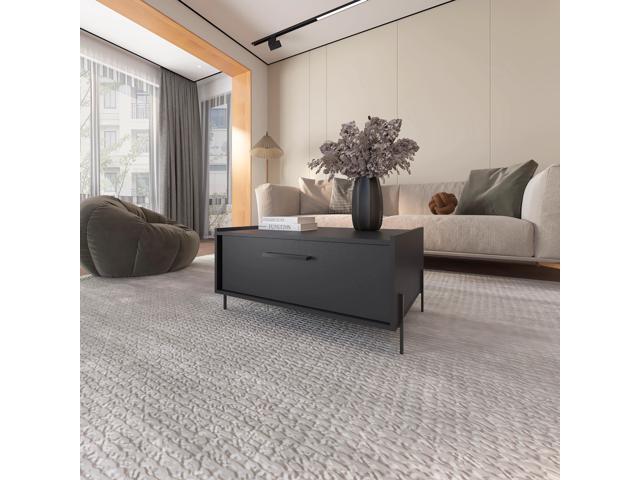 Click here for Black Coffee Table with Flip-Down Door prices