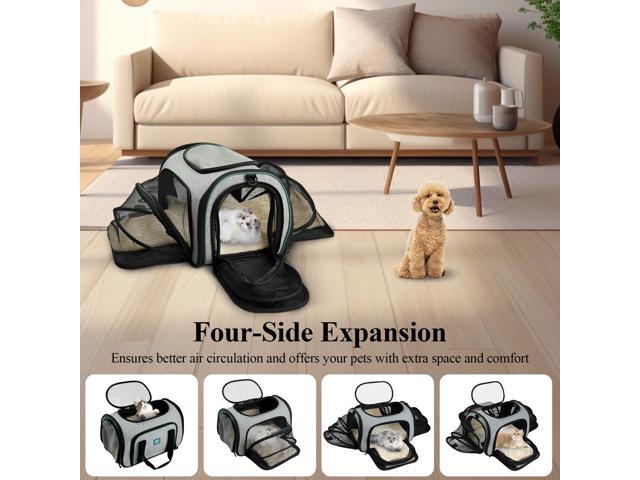 Click here for Minthouz 4-Sided Expandable Pet Carrier  Airline A... prices
