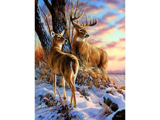 Click here for escapade 500 piece jigsaw puzzle by sunsout prices