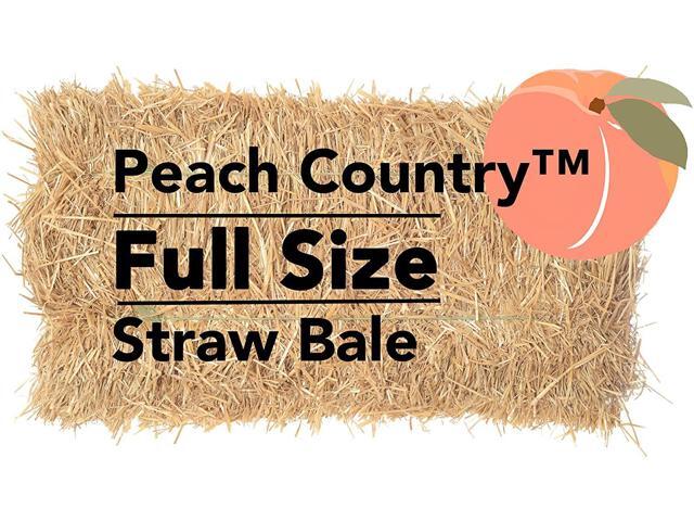Click here for Peach Country Real Full Size Straw Bale for: Autum... prices