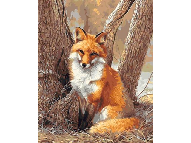 Click here for Fox Paint By Numbers (40x50cm No Frame) prices