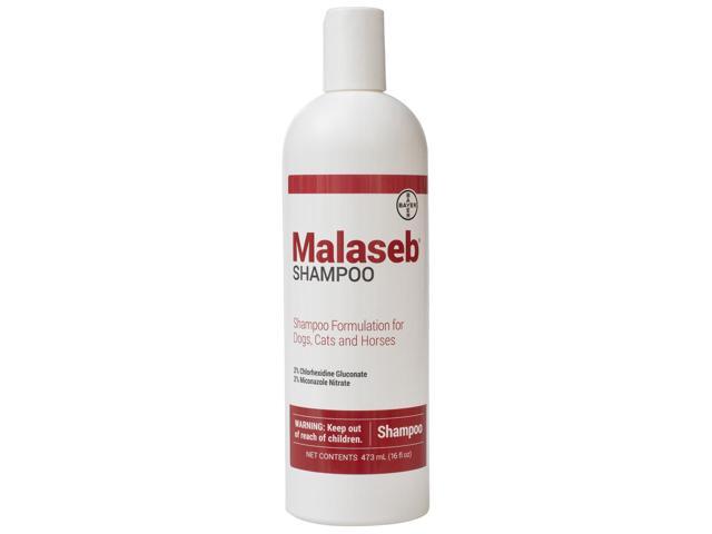 Click here for Malaseb Shampoo Medicated Shampoo Formulation for... prices