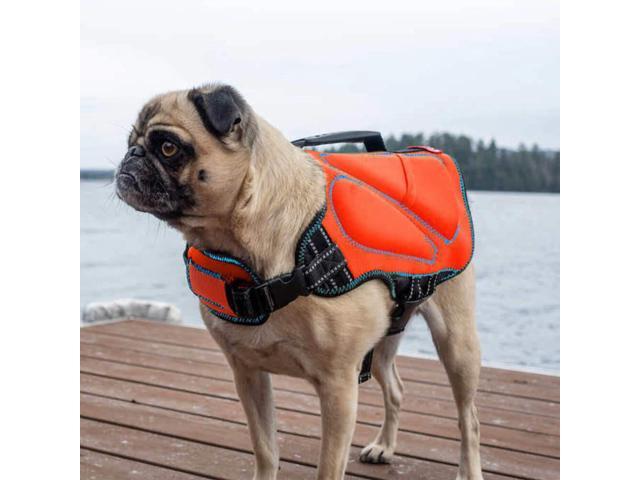 Click here for STIMULA LIFESTYLE SILVER PAW DOG LIFE JACKET FOR P... prices