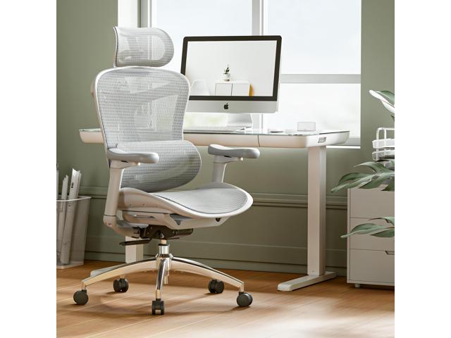 Click here for SIHOO Doro-C300 Ergonomic Office Chair-4 Positions... prices