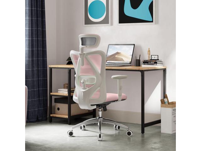 Click here for SIHOO High-Back Mesh Office Chair with Lumbar Supp... prices