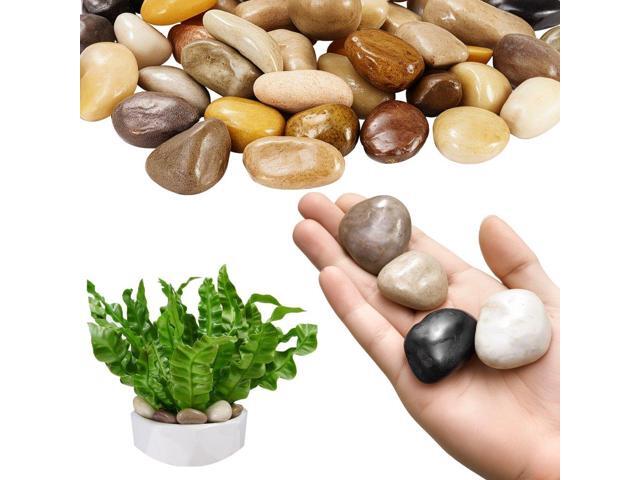 Click here for VEVOR Natural River Rocks 1-2 in 15 lbs Decorative... prices